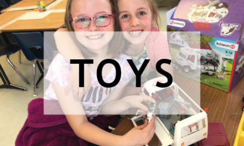 Successful Speech Therapy for Lateral "sh" - Play on Words